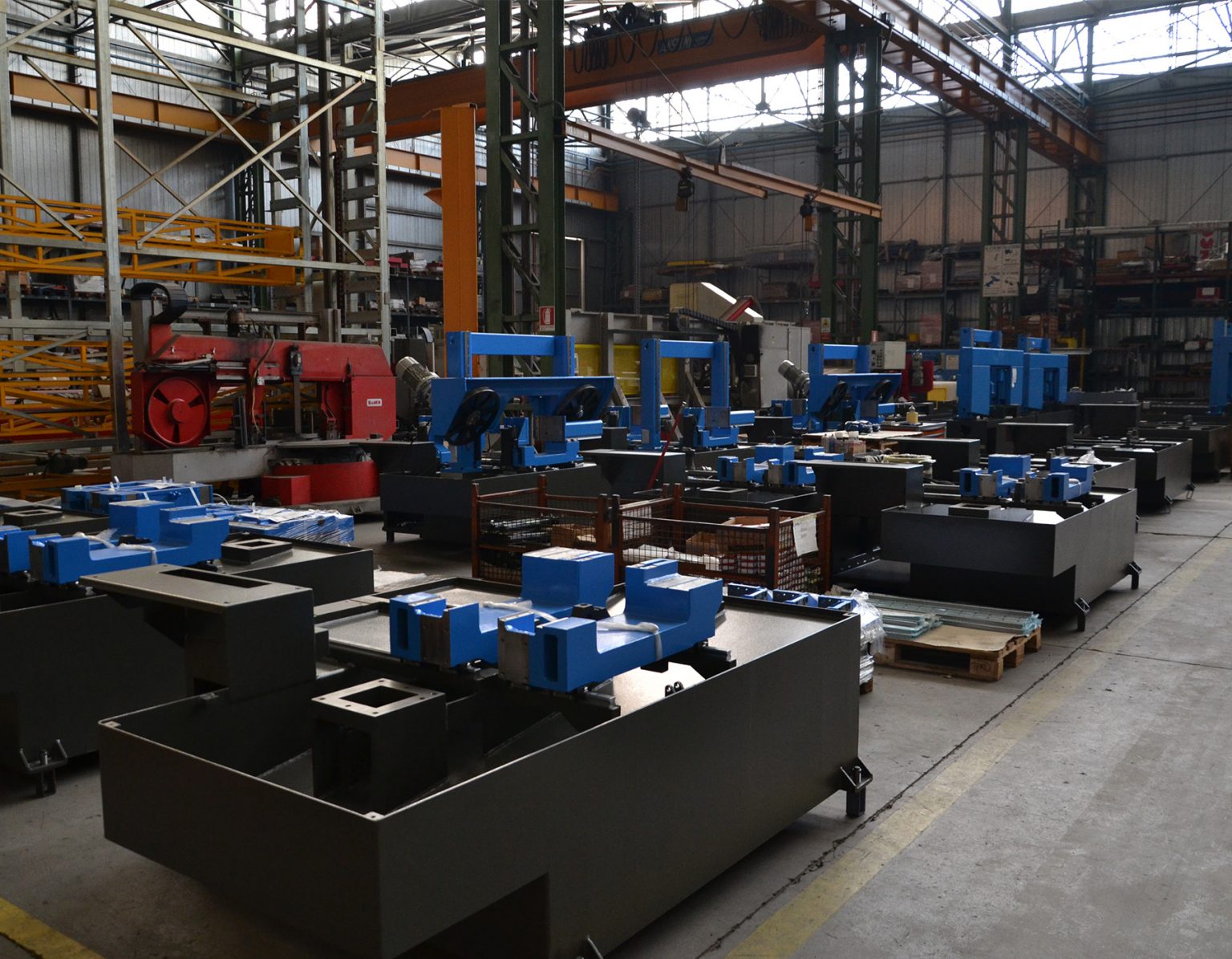 Company – BTM SRL Unipersonale